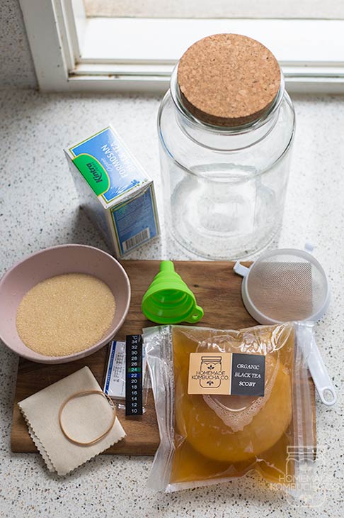 Buy Kombucha Starter Kits | Buy SCOBY | Homemade Kombucha Co. | Australia